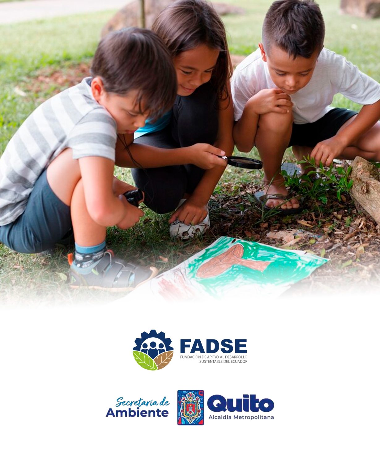 Diseño de contenidos pedagógicos y construcción de módulos en el marco del Programa de Educación ...